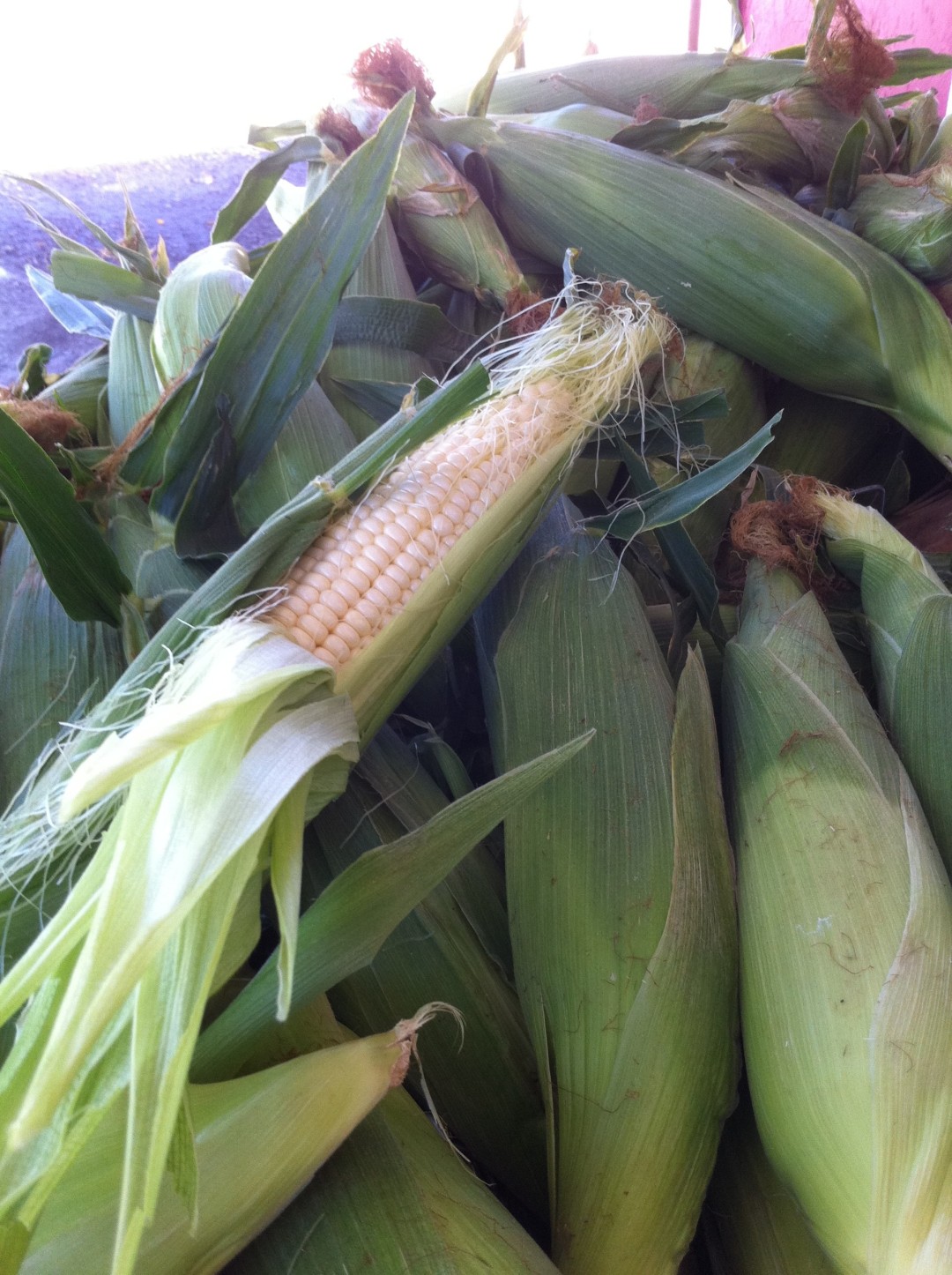 Sweet Corn - Lane Farms